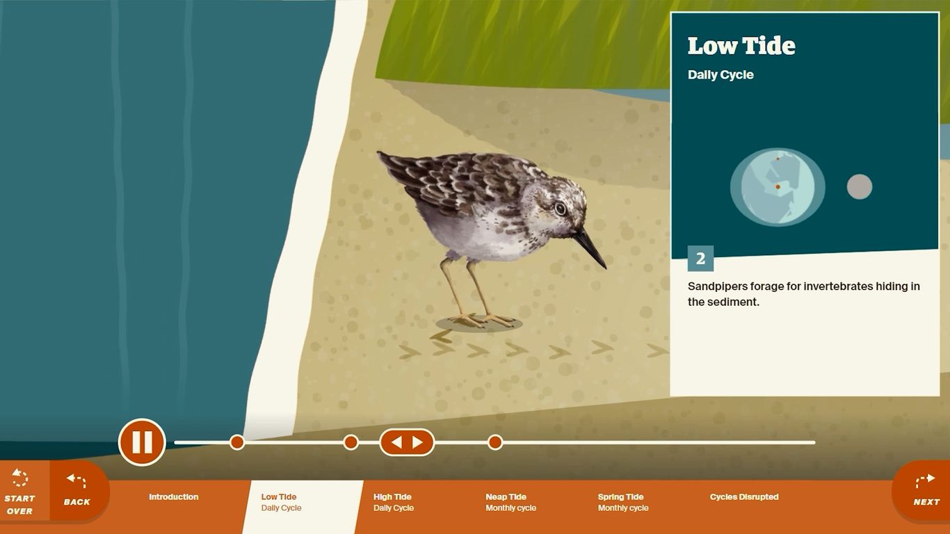 Natural Cycles | Night Kitchen